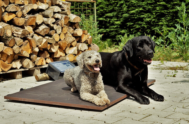 Teleca® Wärmeplatten – Teleca GbR