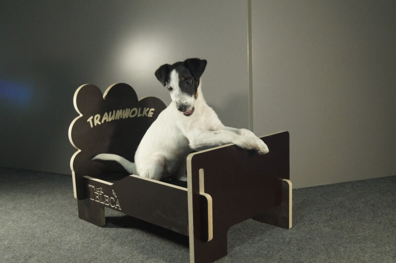 Kollektionen – Teleca GbR